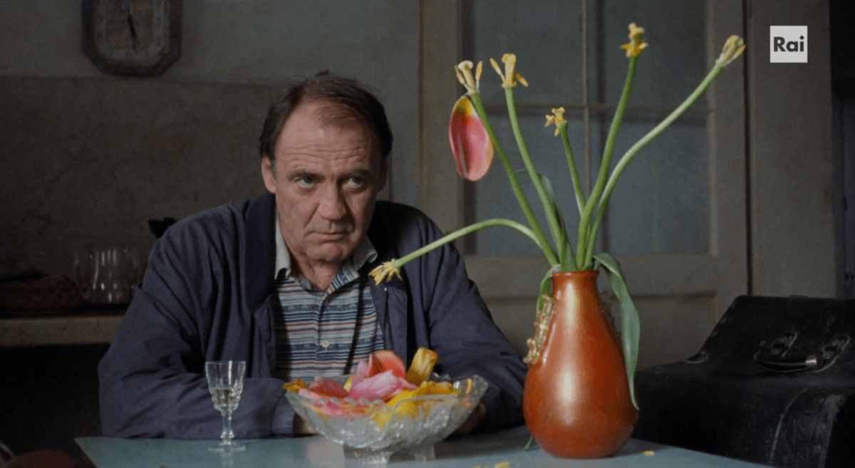 Pane, tulipani e l’Islanda – Senza pollici